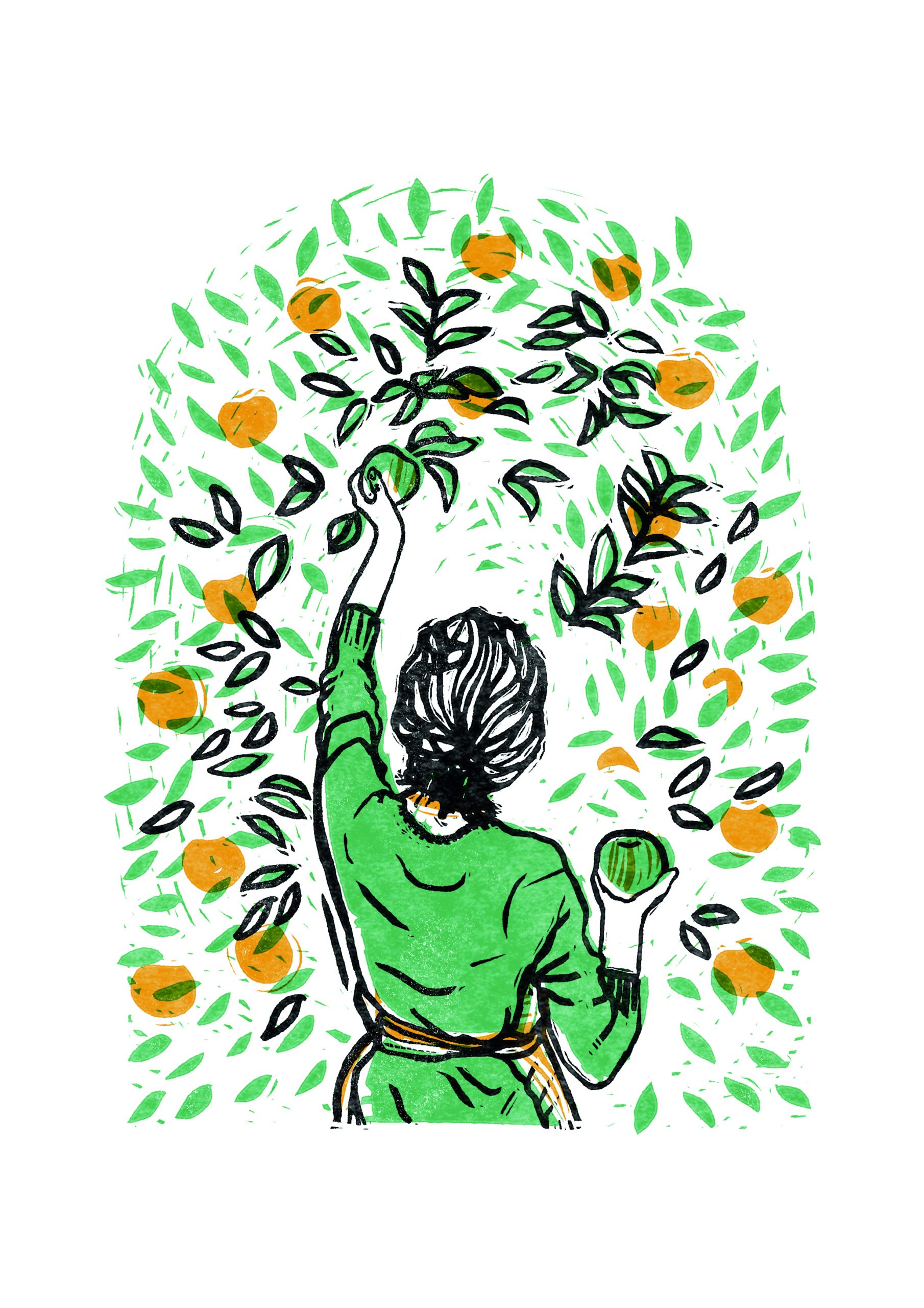 Plant a Tree and Retree the World - Women Talking Online