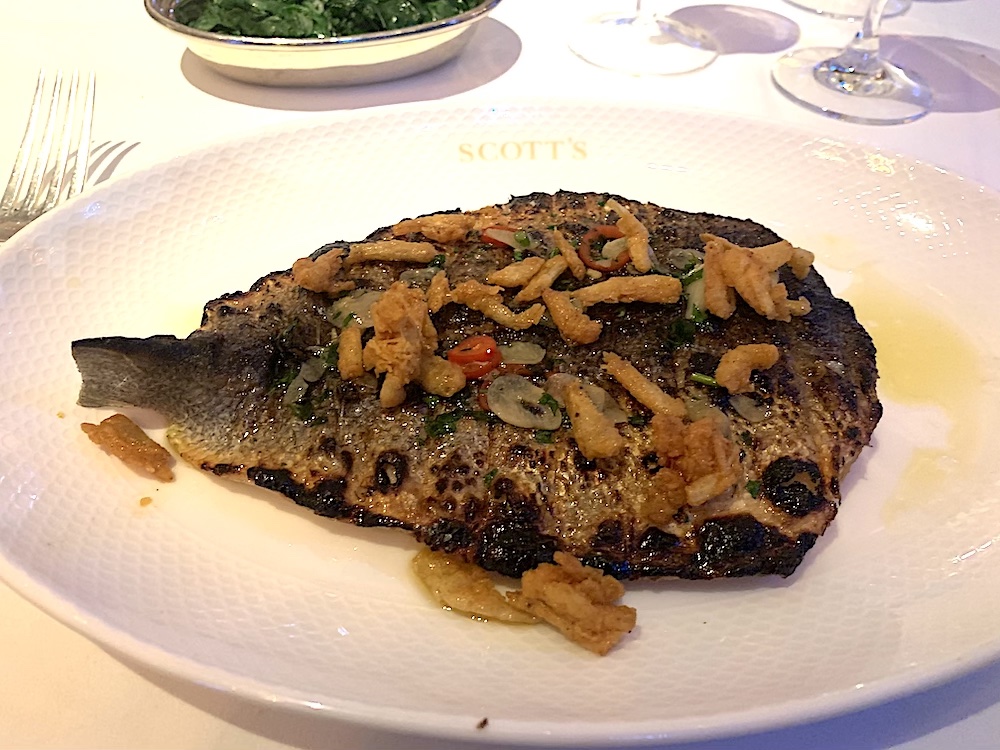 Great Scott, Lucky Richmond! - Women Talking Online Magazine